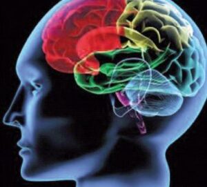 Chronic unease - the hidden ingredient in successful safety leadership ...