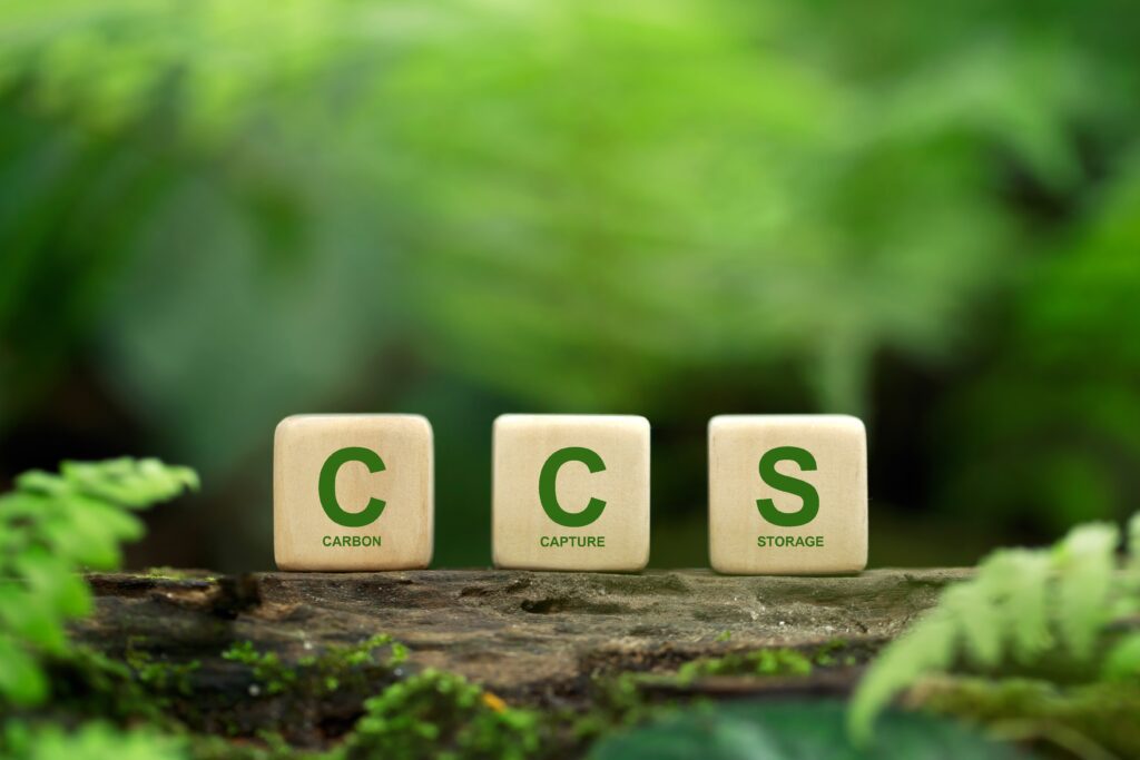 Societal acceptance of CCS risk